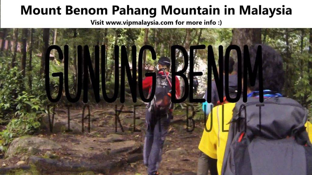 Mount Benom: Pahang’s Mystical Peak & Hiking Destination – VIP