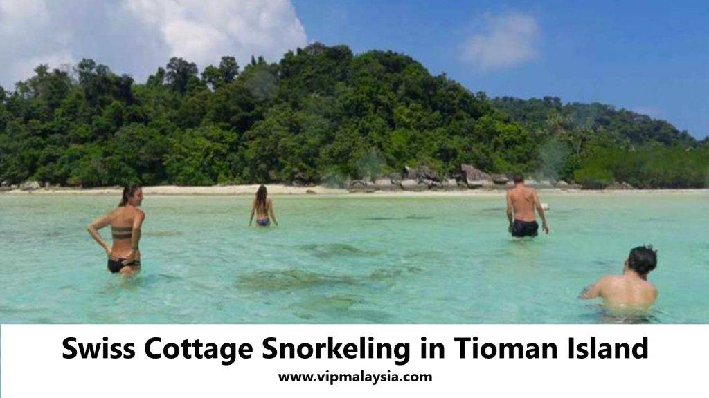 Snorkeling in Tioman Island: Must-Visit Attraction – vipmalaysia.com